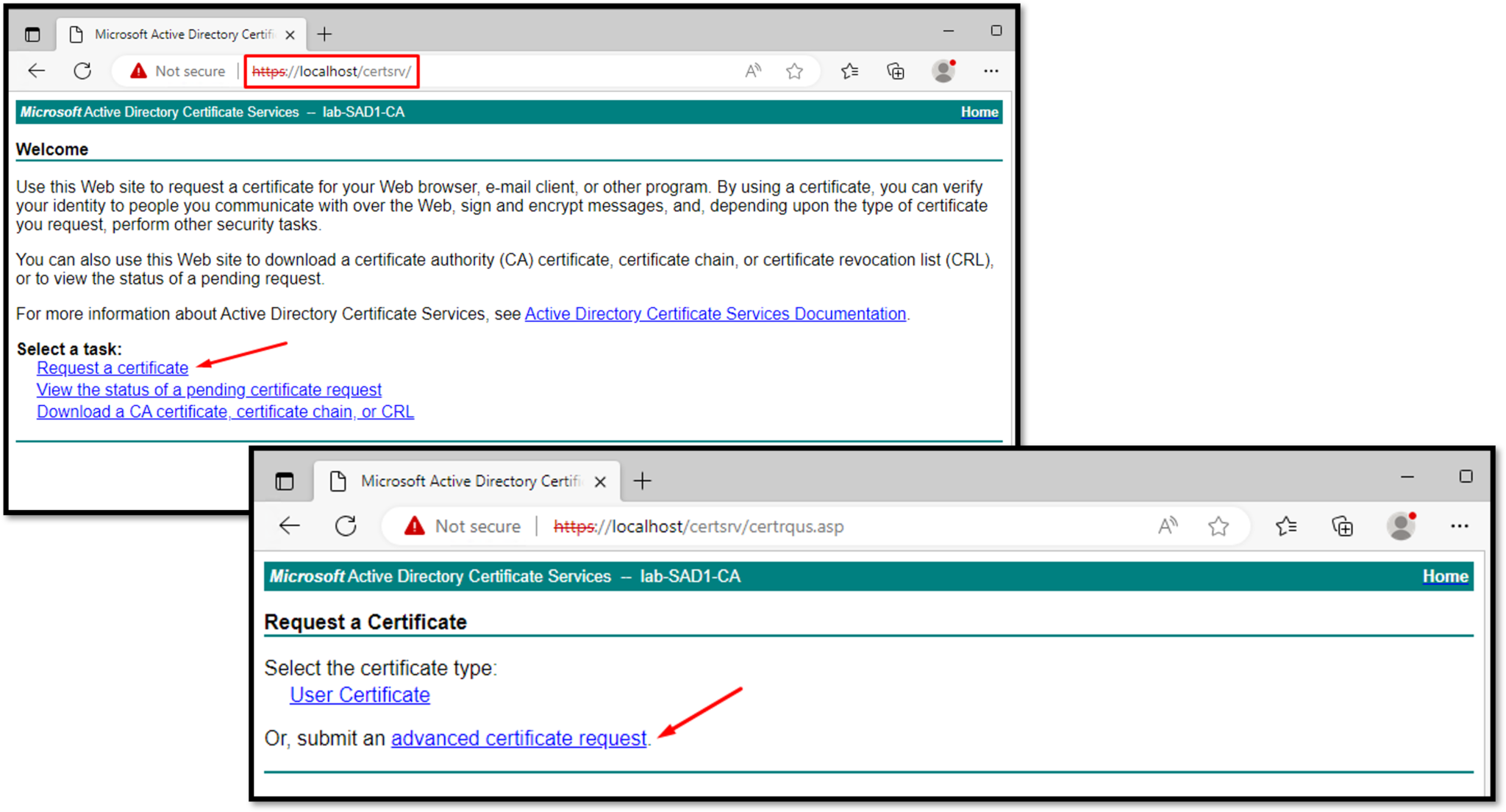 Setting Up Windows AD FS - DPC Virtual Tips