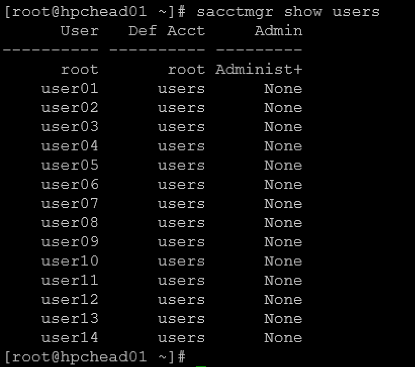 Slurm srun Invalid account or account/partition combination specified ...